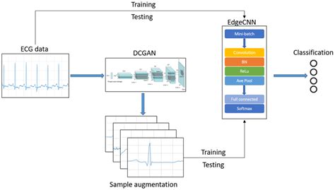 The Main Process Of Ecg Data Identification Download Scientific Diagram