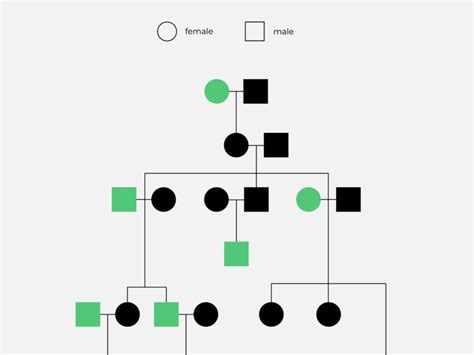 Free 4 Generation Pedigree Chart Printable Free Printable Blank