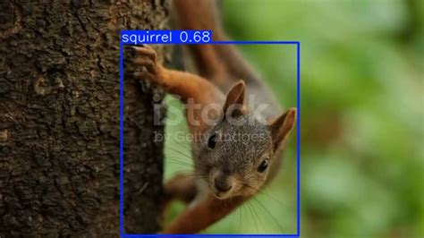 My Project On Object Detection Using Yolov8 Muhammad Rizwan Posted On
