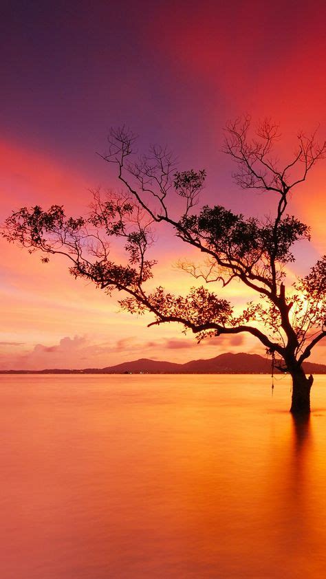 무료 이미지 검색 및 다운로드 Pixabay Salvabrani