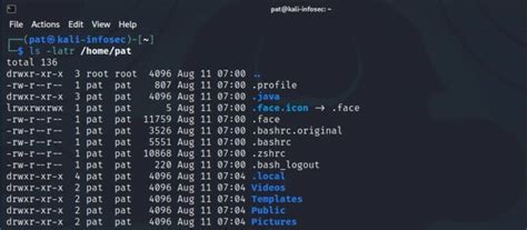 50 Basic Linux Commands You Need To Know On Kali Linux Infosecscout