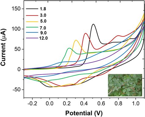 CV Curves Of Quercetin In Different PH Values Of BR Buffer Solutions