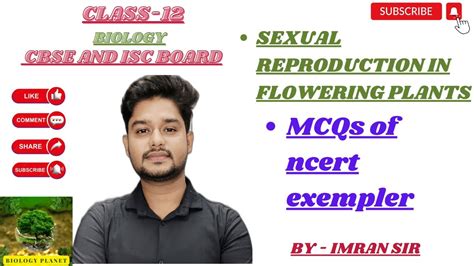 Sexual Reproduction In Flowering Plants Class 12 Cbse Up And Isc