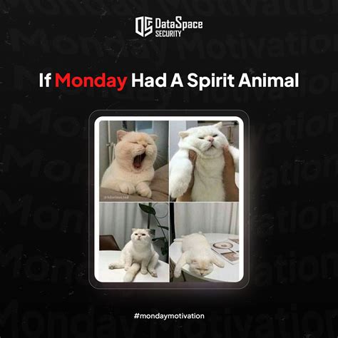 dataspace security dataspace security instagram photos and videos