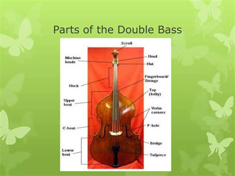 Stringed Instruments Micro Teaching Powerpoint PPTX