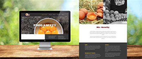 Bartlet Eggs Webweb