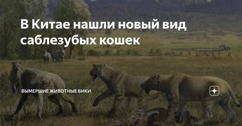 В Китае нашли новый вид саблезубых кошек Вымершие животные вики Дзен