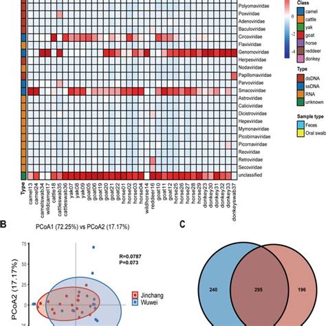 Taxonomic Analysis Of Viral Metagenomic Reads From The Perspective Of Download Scientific
