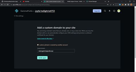 “customdomain Is Owned By Another Account” Error When Adding A Custom Domain Support