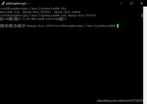 linux下mariadb开启常规日志、二进制日志以及如何使用闪回 centos mariadb 开启 通用日志 csdn博客