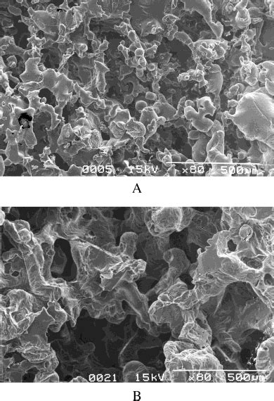 Scanning Electron Micrographs Of Freeze Fractured Scaffold