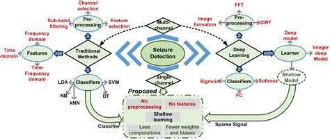 A Shallow Autoencoder Framework For Epileptic Seizure Detection In Eeg