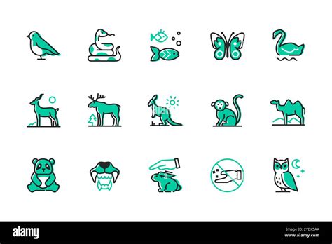 Diversity Of Fauna Set Of Line Design Style Icons Stock Vector Image And Art Alamy