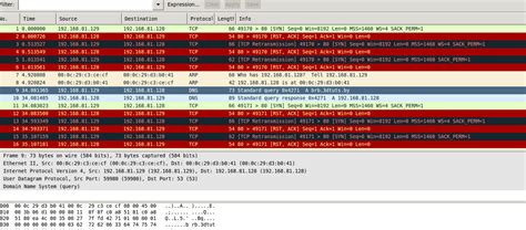 Decoding Malware Mysteries A Deep Dive Into Static Dynamic And