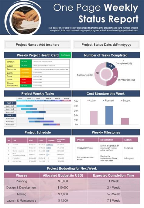 One Page Weekly Status Report Presentation Infographic Ppt Pdf Document Ppt Slide