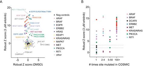 High Throughput Phenotyping Of Lung Cancer Somatic Mutations Pmc