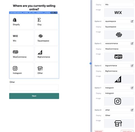 Survey Question Not Rendering Correctly From Designer To Test Form