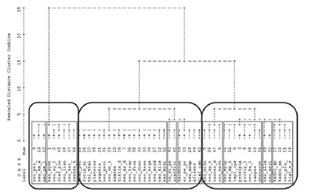 Dendrogram Using Wards Method Download Scientific Diagram