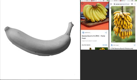 Shashank Vishwakarma Banana Stalk