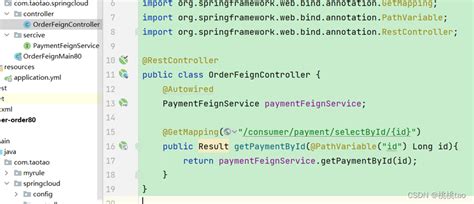 第5章 Openfeign服务接口调用java Openfeign接口有实现类的作用 Csdn博客