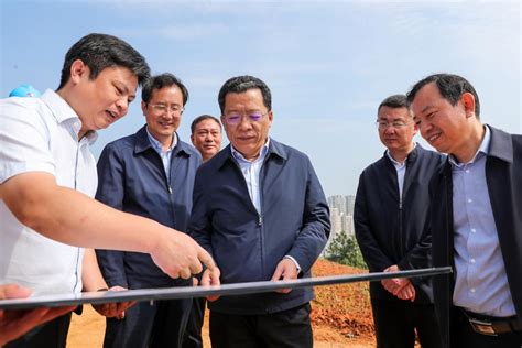 丁纯督导城市基础设施建设和垃圾分类工作澎湃号·政务澎湃新闻 The Paper