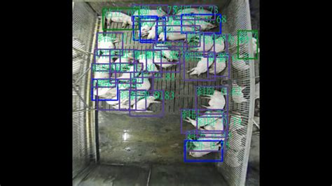 Object Detection Body Segmentation Classification Time Series Face Recognition