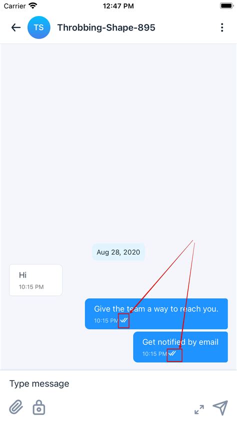 Feat Message Sent Status Indicator · Issue 509 · Chatwootchatwoot