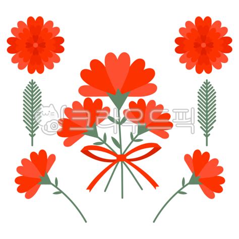 카네이션 가정의달 어버이날 스승의날 리본 사진 이미지 일러스트 캘리그라피 이레153작가