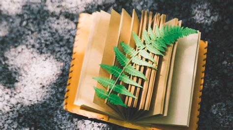 在 Spring Boot 中搭建 Coap 服务器：一份详细指南 Bytezonex社区