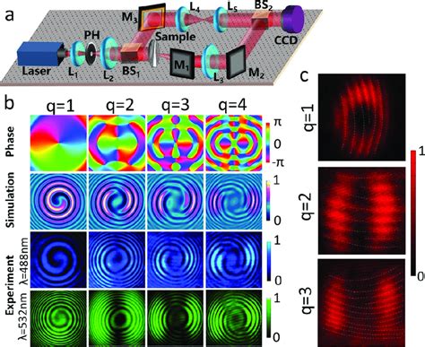 A Sketch For The Experimental Setup To Measure The Interference Download Scientific Diagram