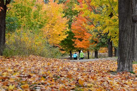 High Park Toronto Flickr