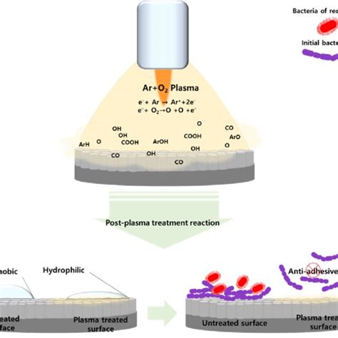 Schematic Of A Summary Of Possible Events On The Plasma Treated Tio2 Download Scientific