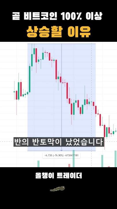 앞으로 6개월동안 비트코인의 가격이 100이상 상승할 이유 Youtube