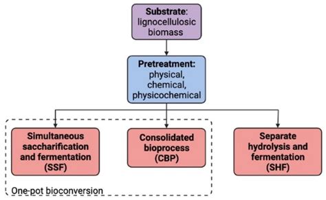 Sustainability Free Full Text Bioconversion Of Corn Crop Residues Lactic Acid Production