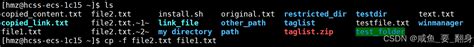 Linux基本命令篇 —— Cp命令linux Cp Csdn博客 Linux基本命令篇 —— Cp命令linux Cp Csdn博客