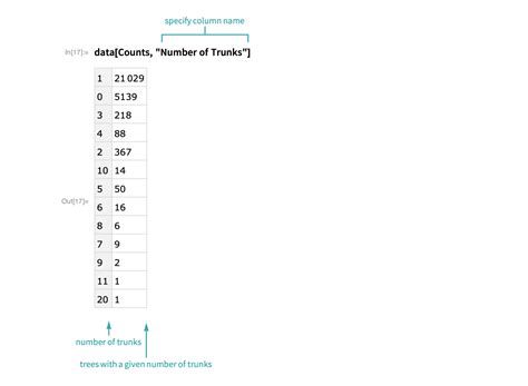 Analyze A Computable Dataset—wolfram Documentation