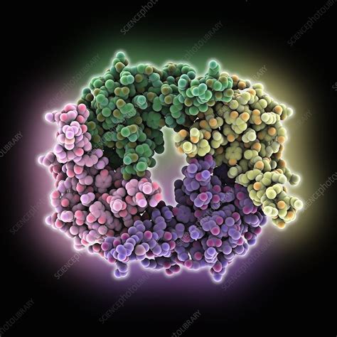Sars Cov 2 Rna Binding Domain Illustration Stock Image C049 6915 Science Photo Library