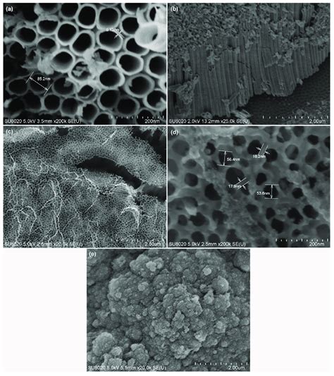 SEM Images Of A Top View Of TiO2 Nanotube Array B Cross Section Download Scientific