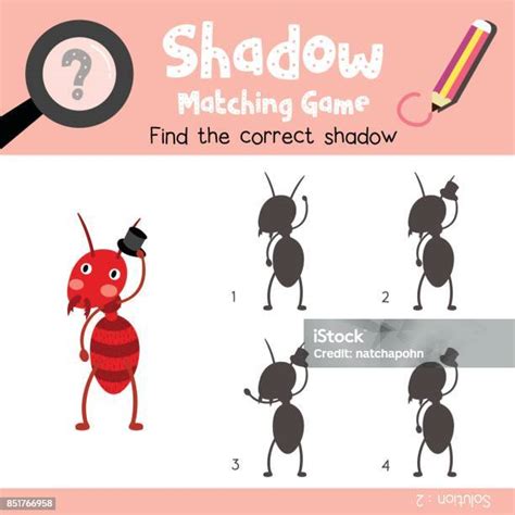 검은 모자 벡터 일러스트와 함께 그림자 일치 게임 불 개미 개미에 대한 스톡 벡터 아트 및 기타 이미지 개미 곤충 교육