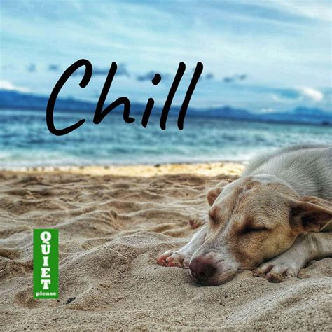 Chill Podcast On Spotify