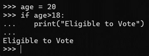 Understanding Control Flow Essential Python Statements Ohio Computer Academy