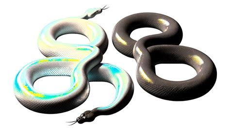 Nltk And Python Wordnet Find Synonyms And Antonyms With Python