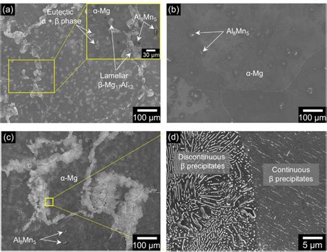 sem micrographs of the microstructure of a as cast alloy b