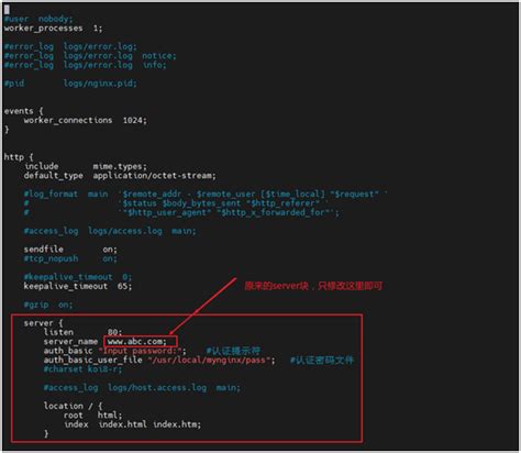 Nginx搭建web服务器 Csdn博客