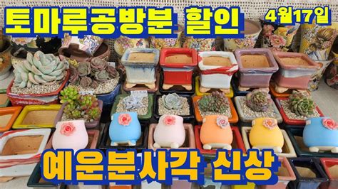 4월17일 토끼네화분 예운분사각신상 토마루공방분할인 언화분무배송 Youtube