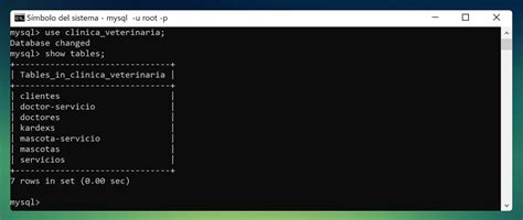 Consultas Insert Update Y Delete En Mysql Norvic Software