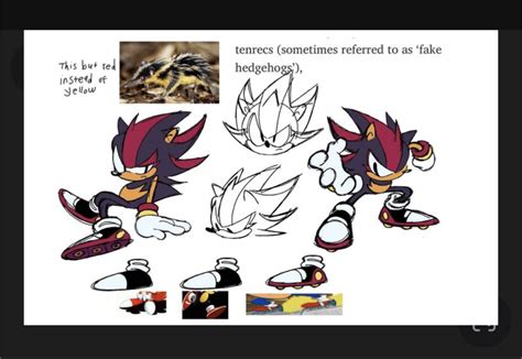 Custom Classic Shadow Wip Rjakkspacificsonic