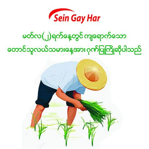 ချွေးမကျ အနံ့လုံ 🍚🍱ထမင်းဘူး ဟင်းဘူးလေးတွေကို အရည်အသ