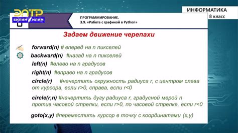 8 класс Информатика Работа с графикой в Python Знакомство с модулем Turtle Youtube