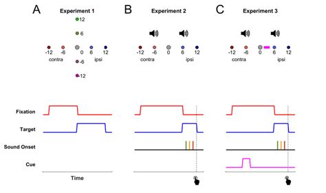 Experiment Setup And Trial Structure The Diagrams Depict The Spatial